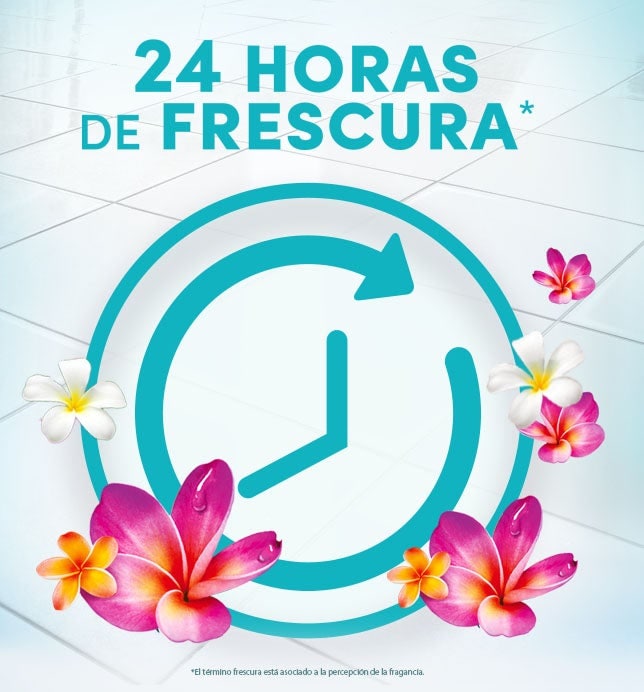 Ajax - Amonia | Tu Hogar México